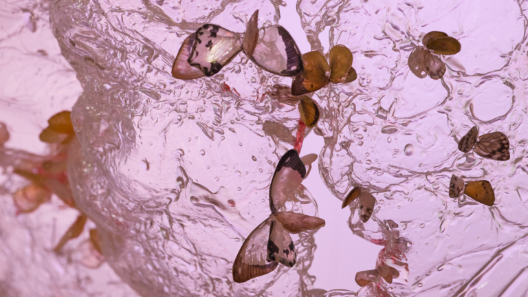 Perfume Talk with Biologist Dave Pepler(16yrs+) - Rupert Museum